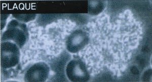 The Institute of 8BodyType Accupuncture